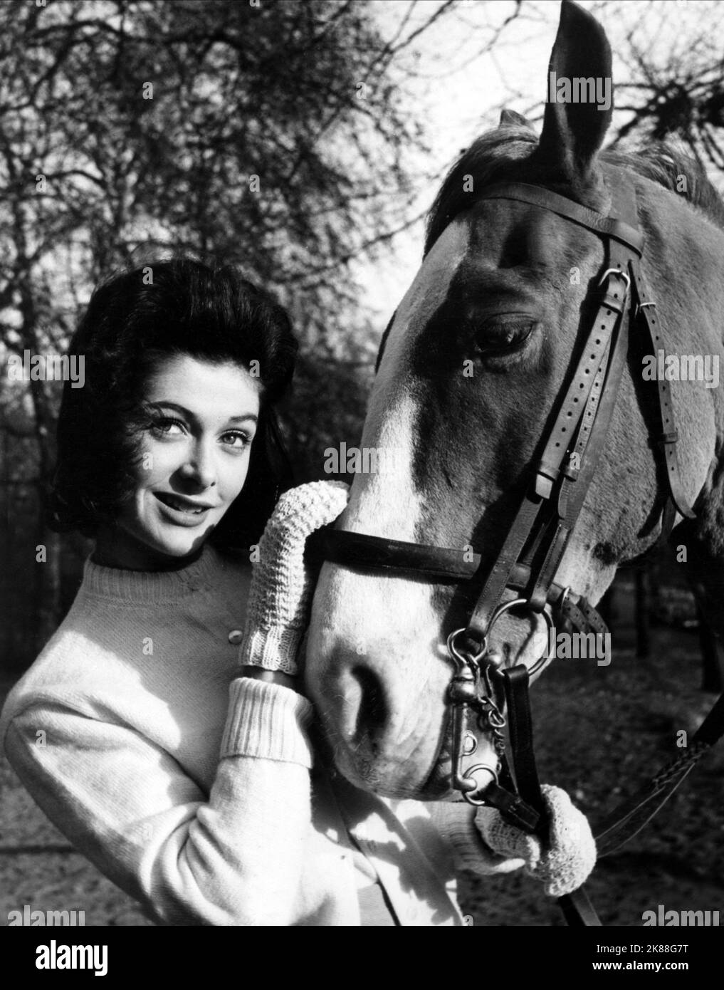 Maureen Swanson Actress 15 December 1957 **WARNING** This Photograph is ...