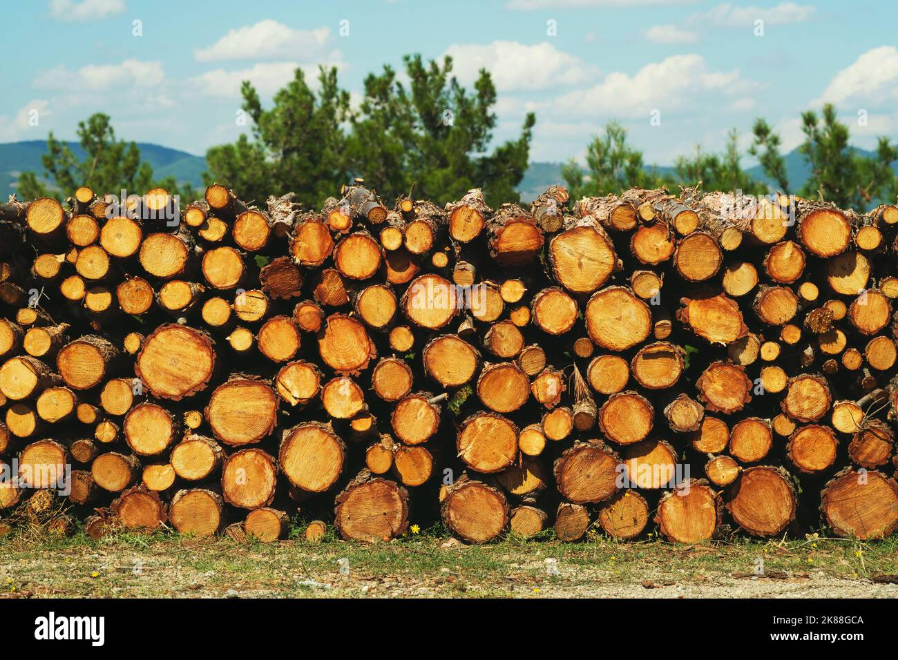 Close up background texture of log piles Stock Photo - Alamy