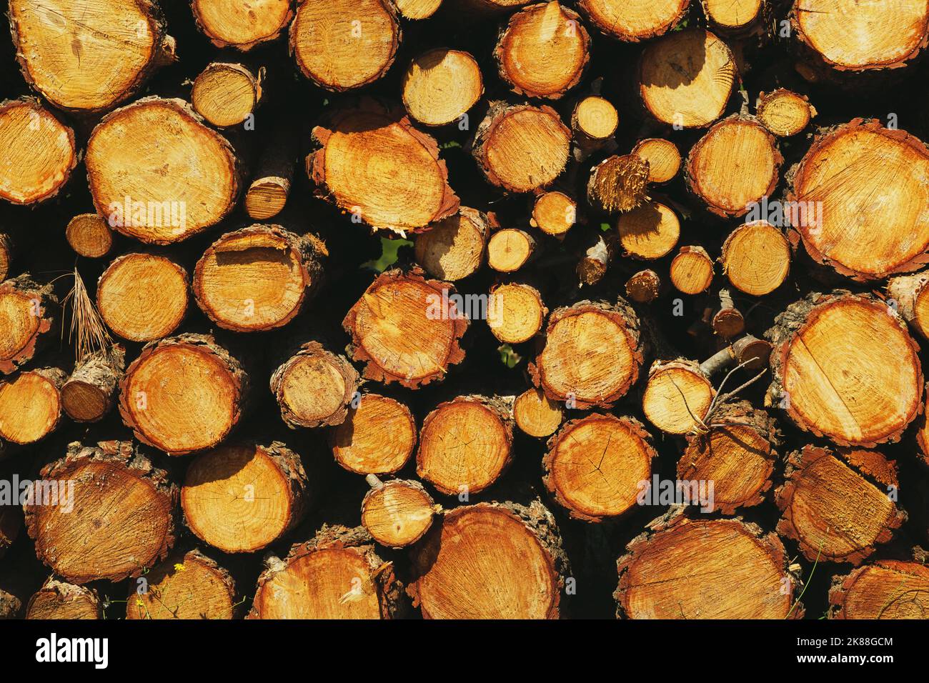 Close up background texture of wooden piles Stock Photo - Alamy