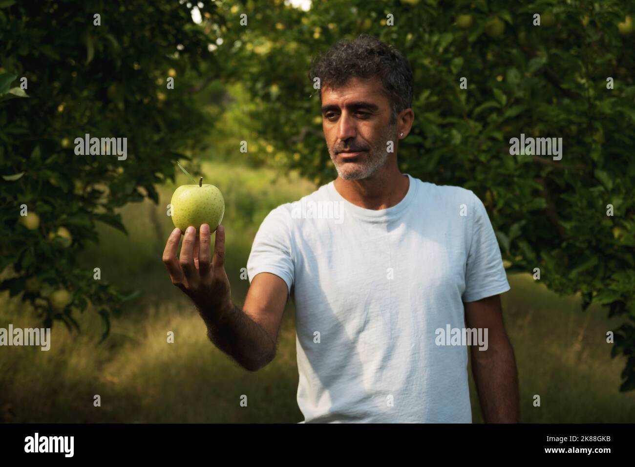 Portrait of a middle eastern holding an apple in his hand and posing in ...