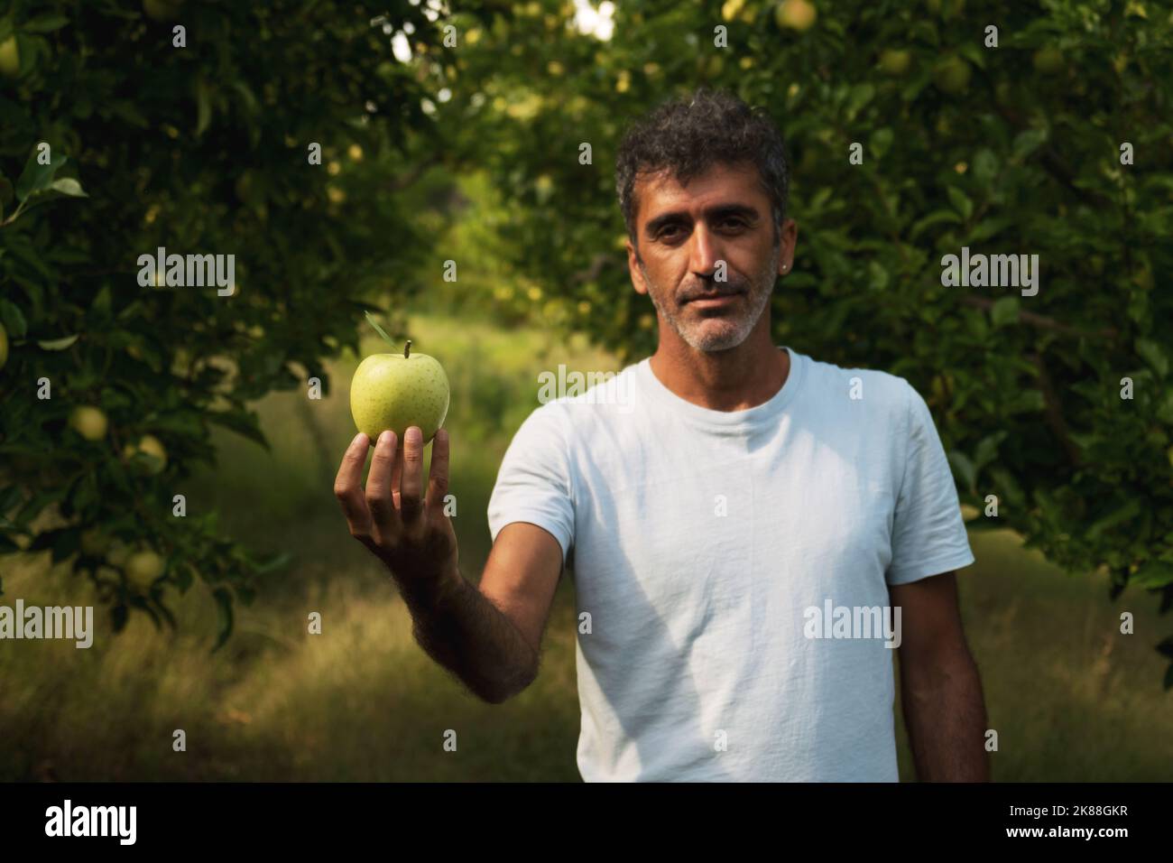 Middle eastern fruit hi-res stock photography and images - Alamy