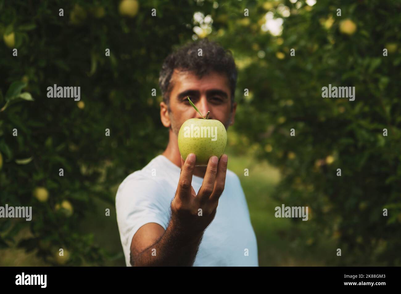 Portrait of a middle eastern holding an apple in his hand and posing in ...