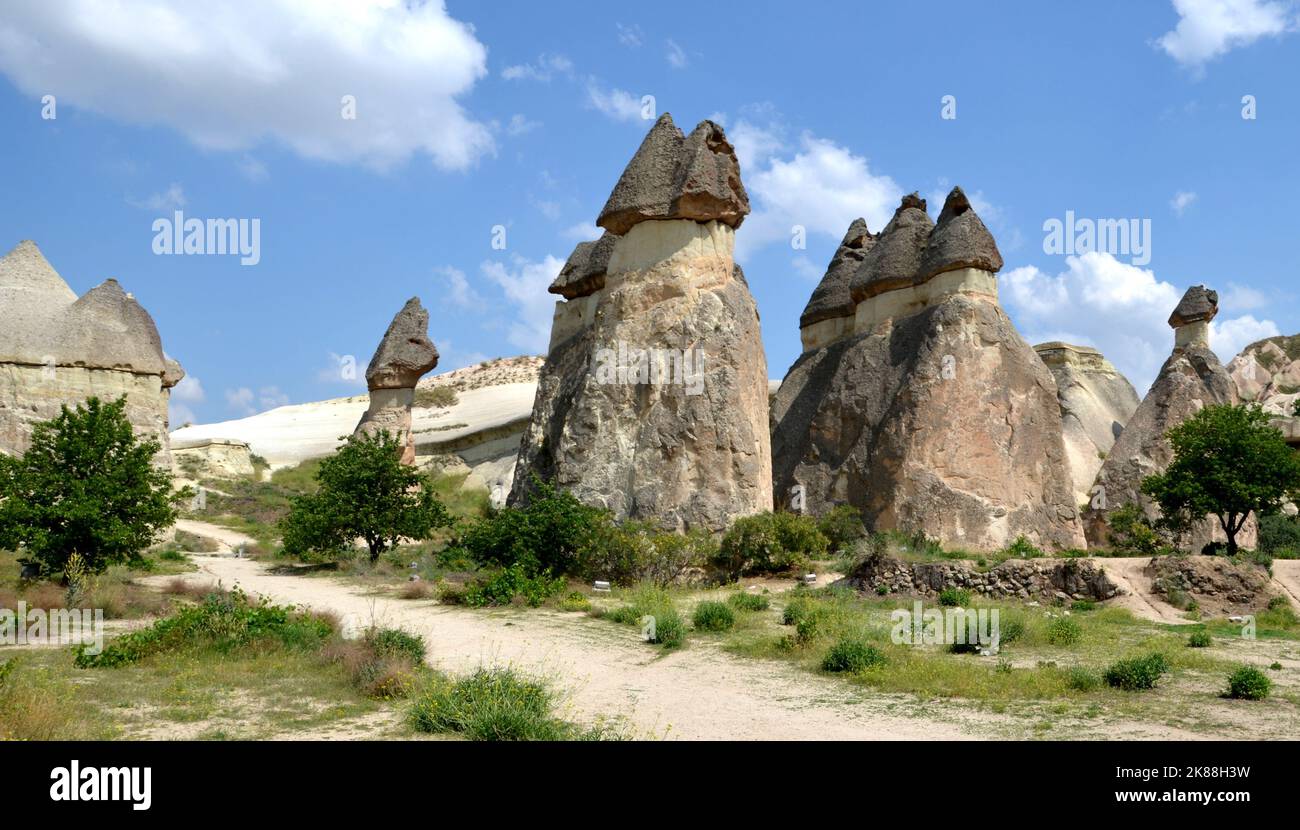 cappadocian landscape with plants and bizarre rock formation Stock ...