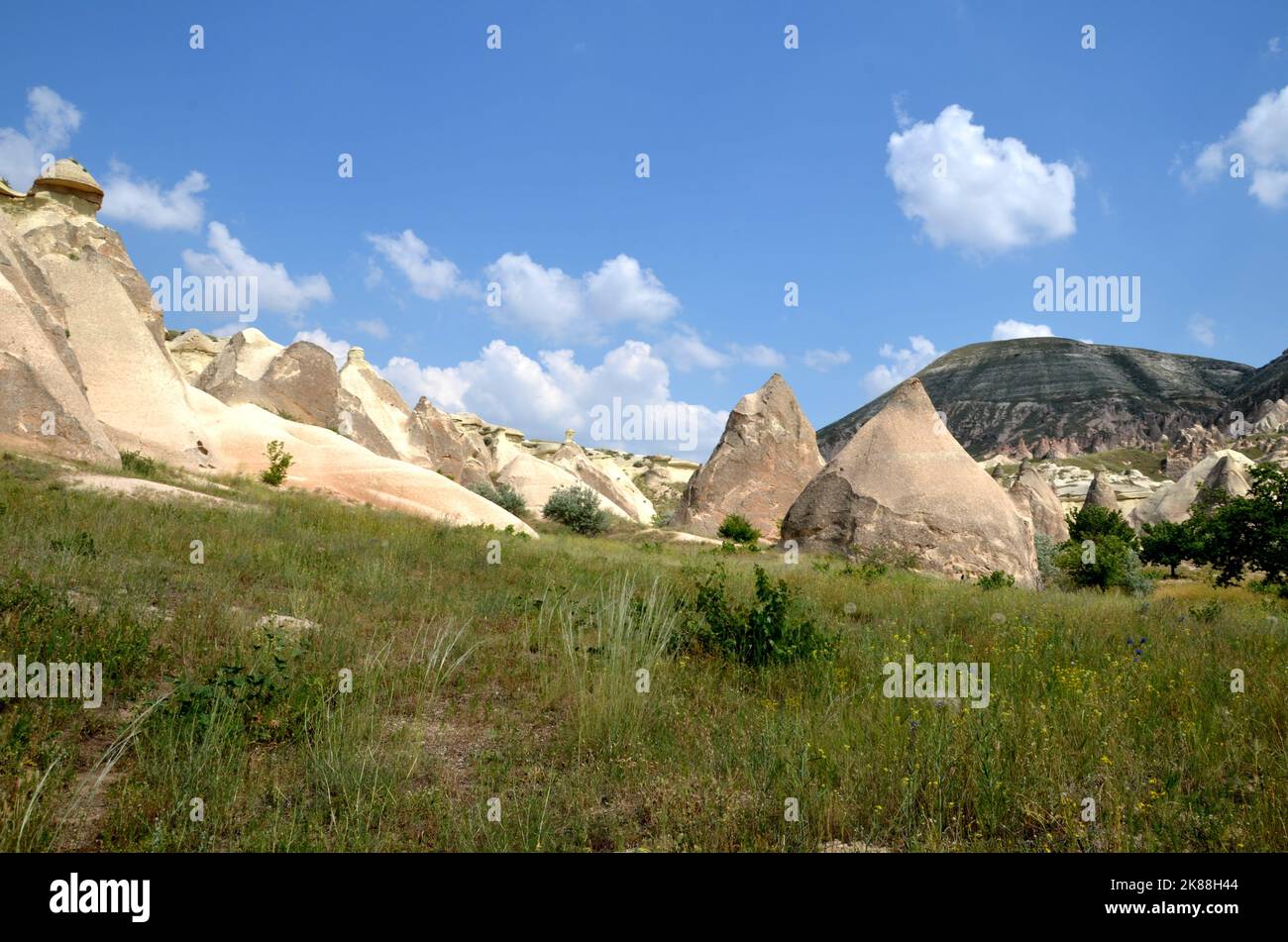 cappadocian landscape with plants and bizarre rock formation Stock ...