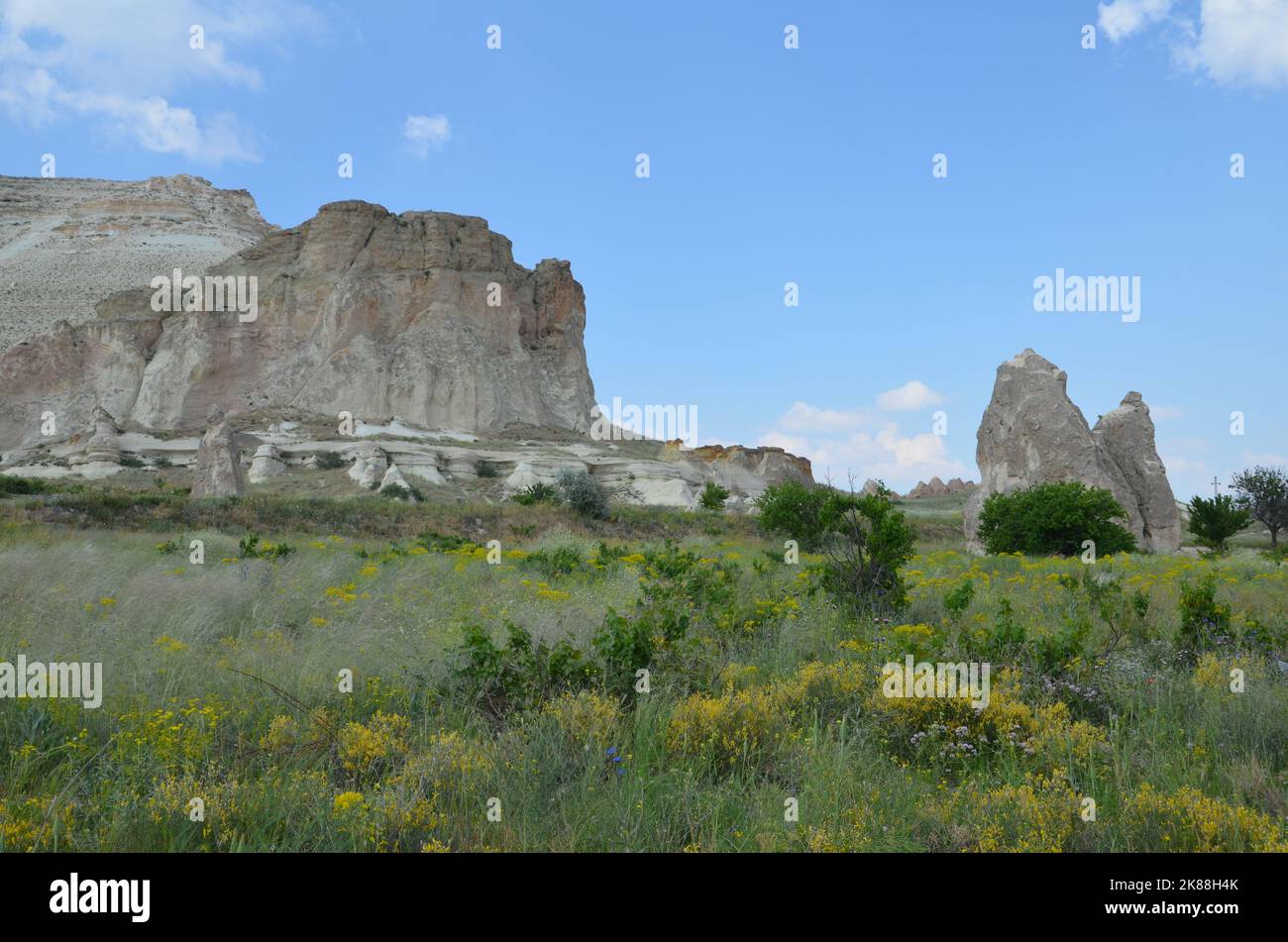 colorful meadow with plants and a mighty rock formation in background ...