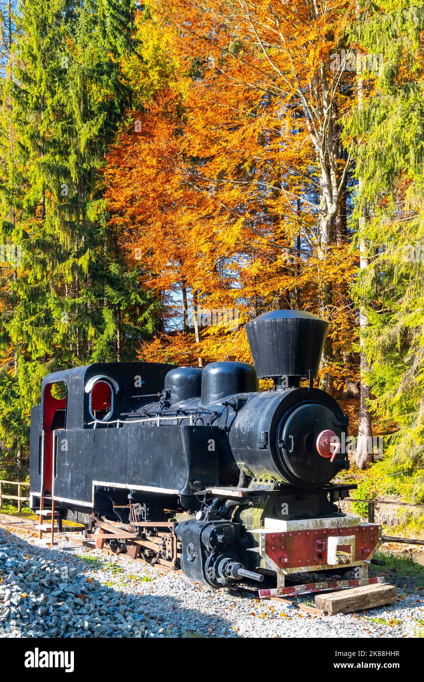 steam locomotive, Museum of Kysuce village, Zilina region, Slovakia ...