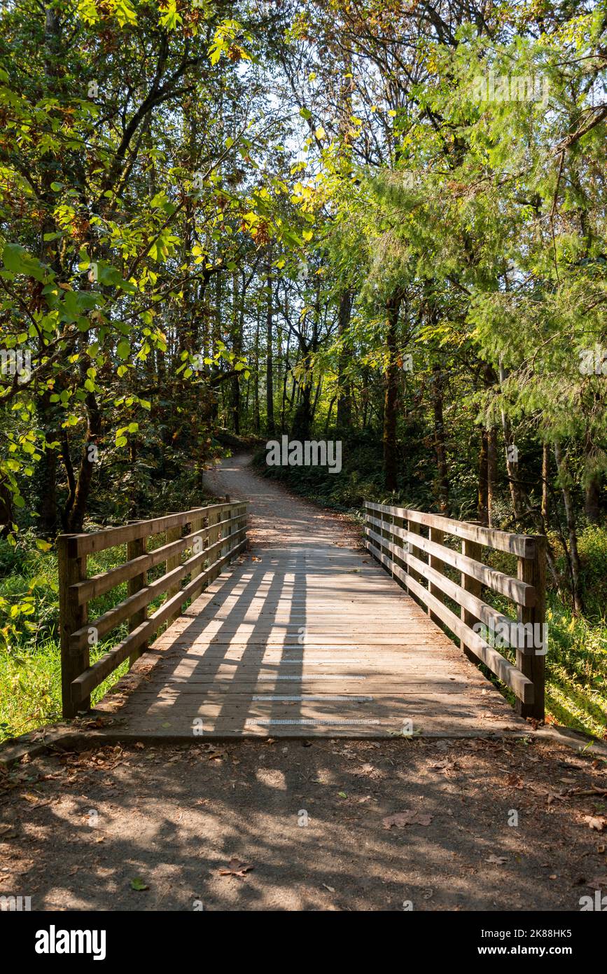 Quaint wooden bridge crossing over reverbed with bright green, soothing ...