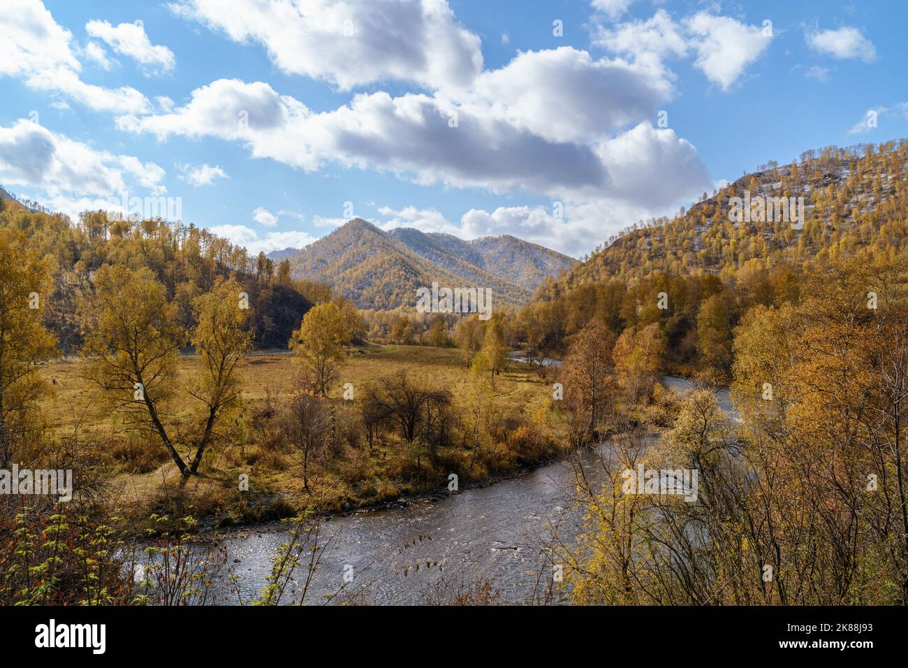 Golden Autumn in Siberia, forest and small mountain river, Altai ...