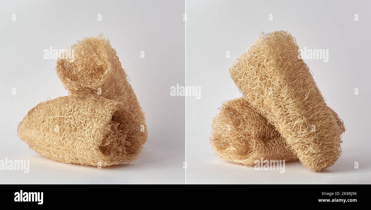 set of luffa or sponge gourd, also known as vegetable sponge or rag ...