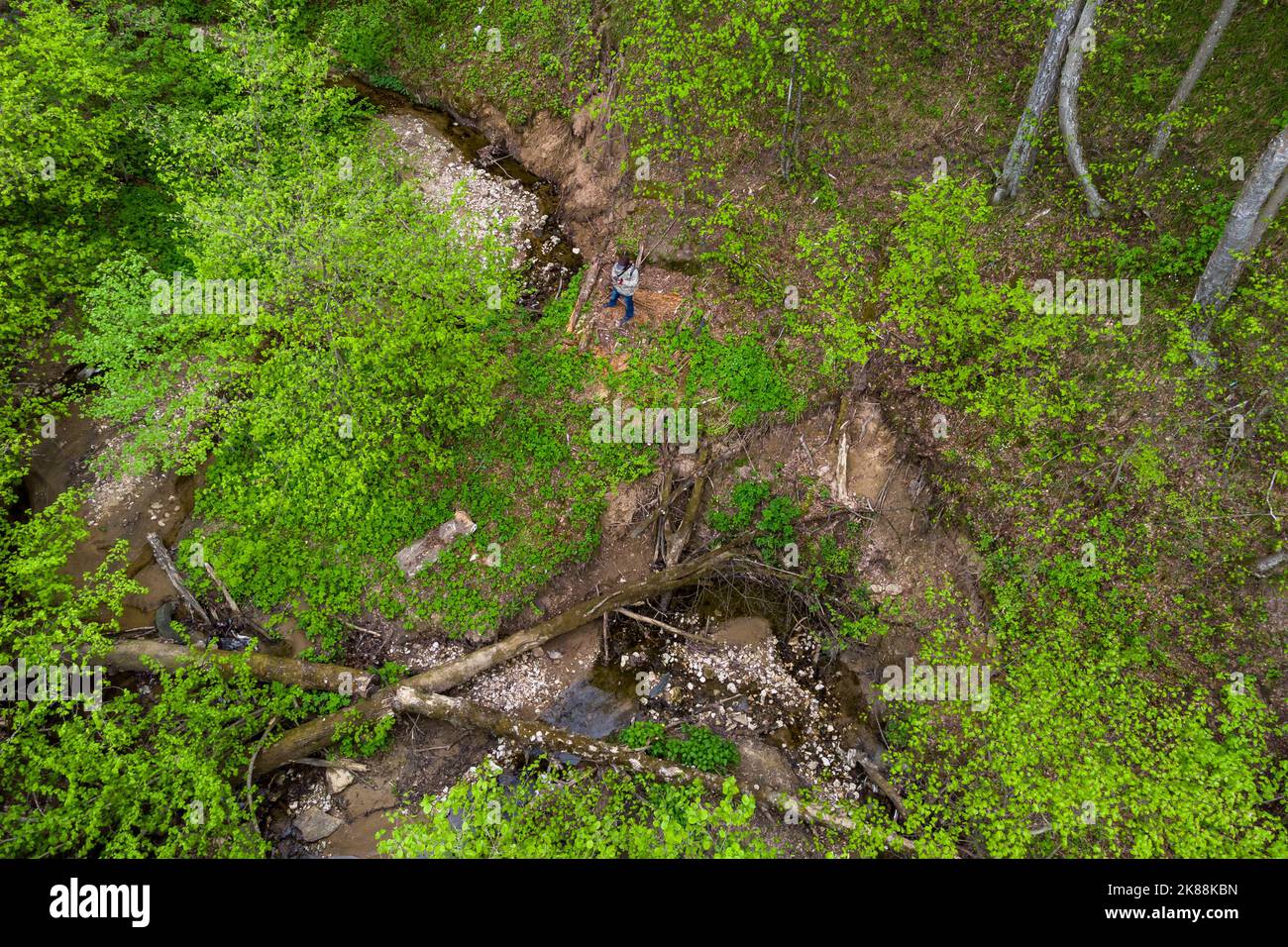 Aerial view of a ravine in a green forest area Stock Photo - Alamy