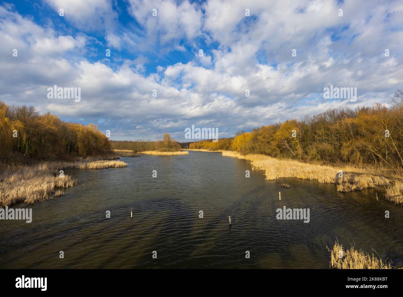 Balaton-felvideki nature reserve, Kis-Balaton, Transdanubia, Hungary ...