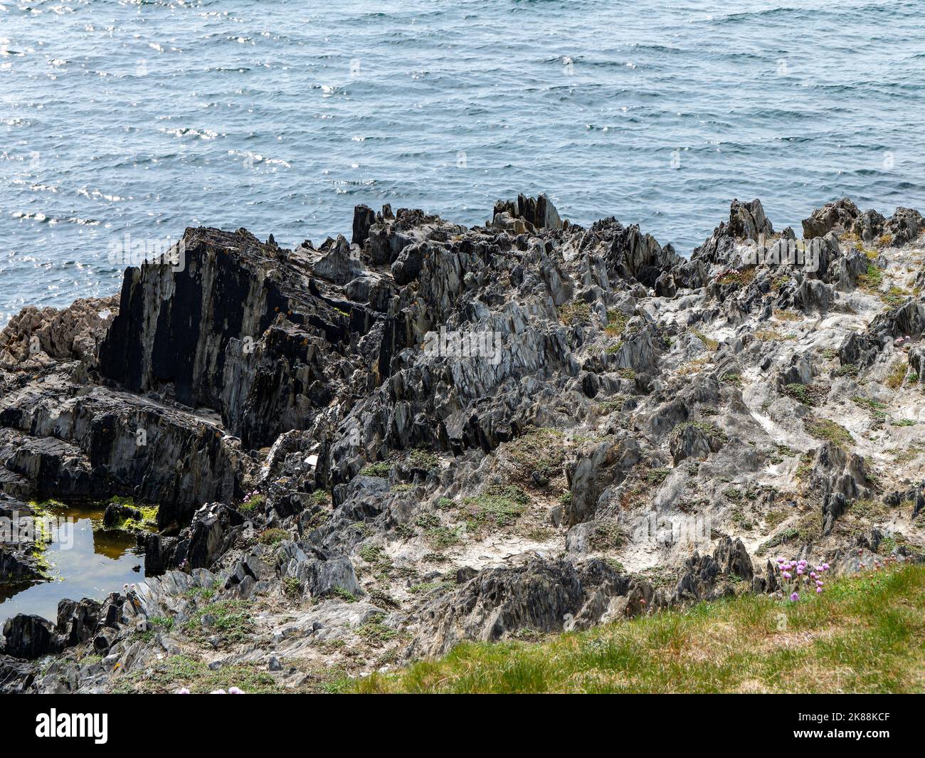 Rocks and grass on the seashore on a sunny day. Seaside landscape ...