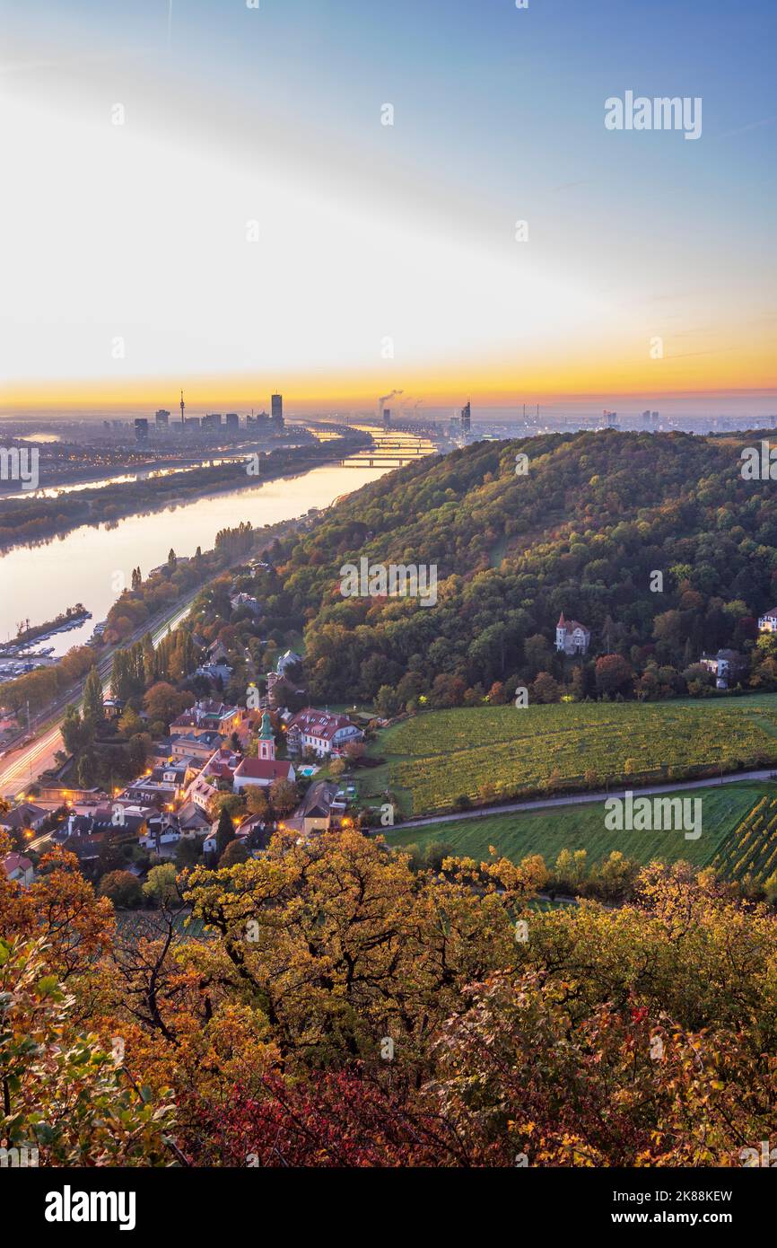 Wien, Vienna: sunrise at Vienna, vineyards, river Donau (Danube) and ...