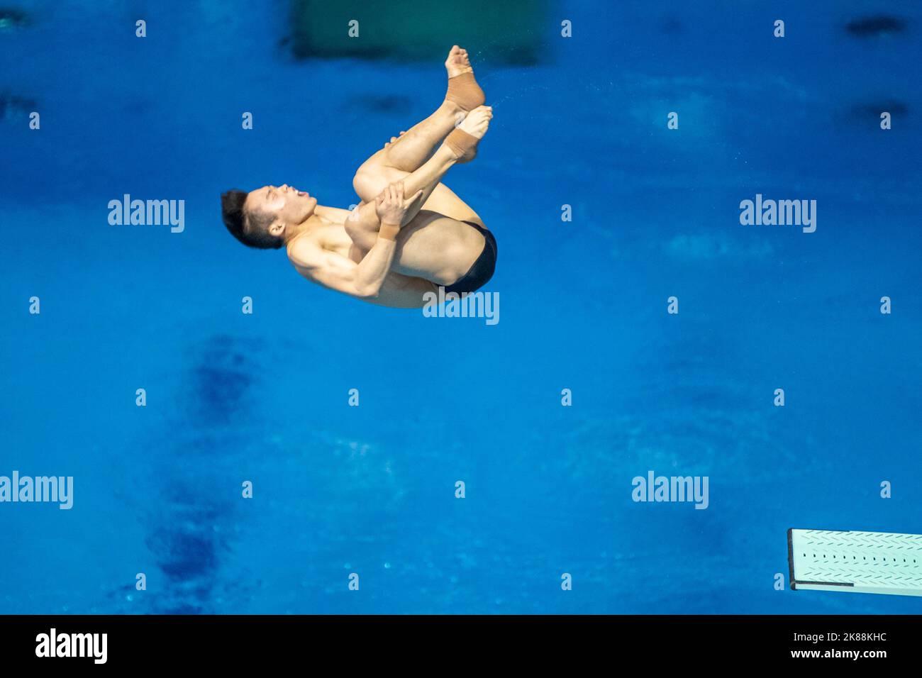 Berlin, Germany. 21st Oct, 2022. Water diving: World Cup, Decisions ...