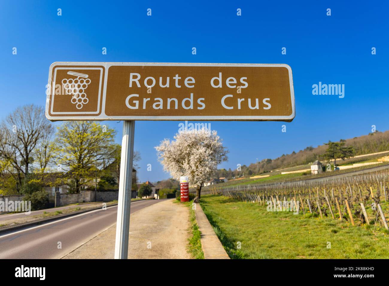 Wine road (Route des Grands Crus) near Beaune, Burgundy, France Stock ...