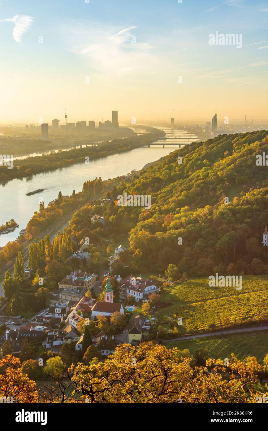 Wien, Vienna: sunrise at Vienna, vineyards, river Donau (Danube) and ...