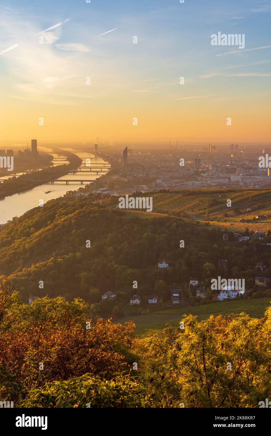 Wien, Vienna: sunrise at Vienna, vineyards, river Donau (Danube) and ...