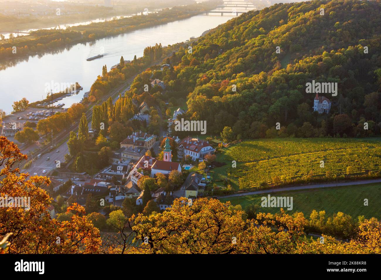 Wien, Vienna: sunrise at Vienna, vineyards, river Donau (Danube) and ...