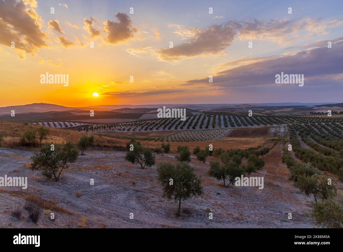 typical Andalusian landscape during sunset, Spain Stock Photo - Alamy
