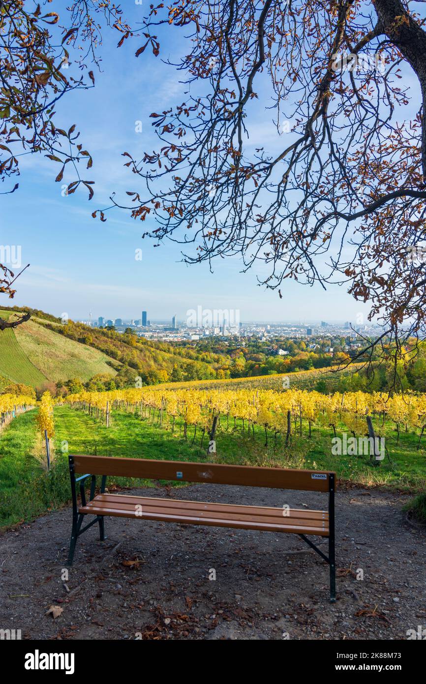 Wien, Vienna: view to Vienna city center from place Wildgrube, vineyard ...