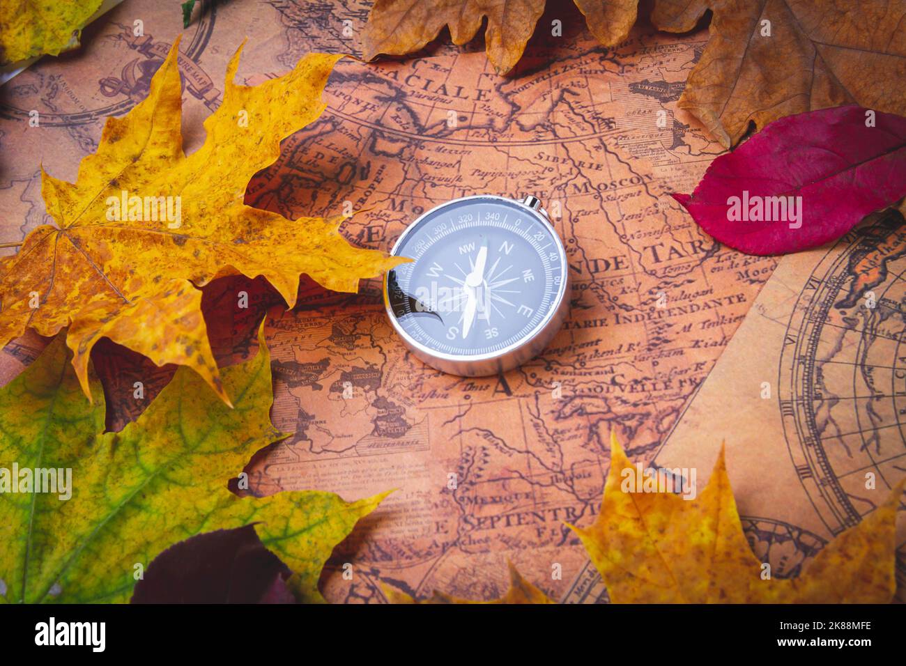 Traveler's compass on map in bright multi-colored autumn leaves ...