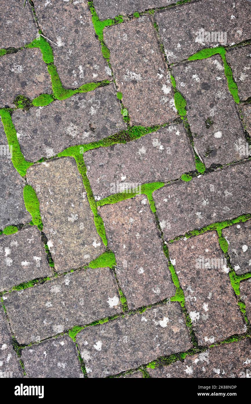 Green moss stones hi-res stock photography and images - Alamy