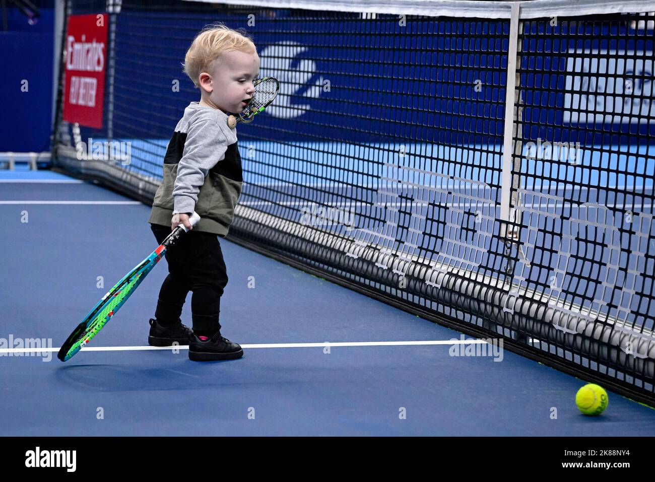 Illustration shows a celebration ceremony for Belgian former tennis player Ruben Bemelmans ...