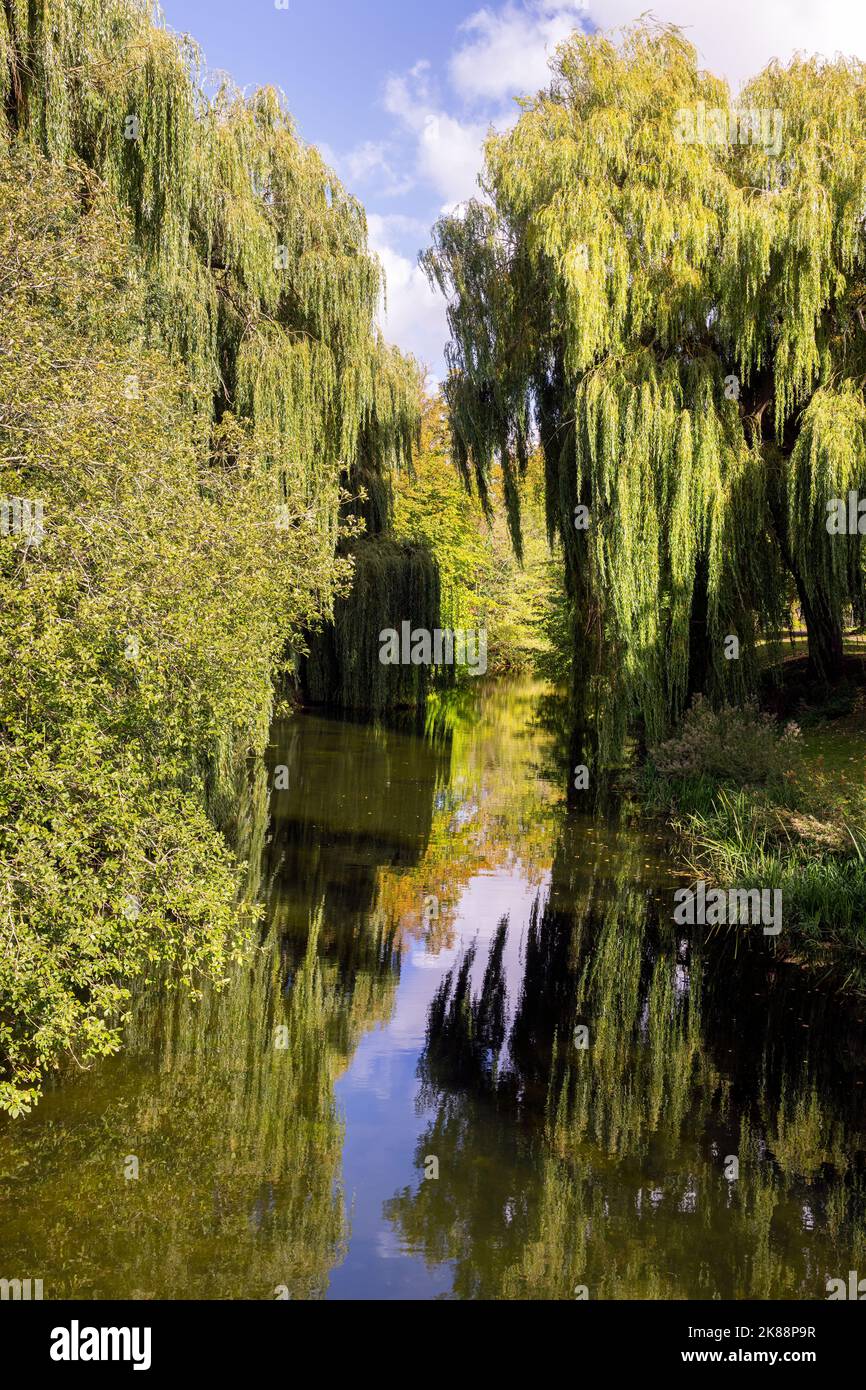 Spalding lincolnshire autumn hi-res stock photography and images - Alamy