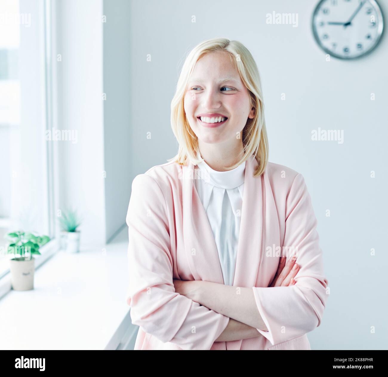 business woman portrait office executive businesswoman young beautiful ...