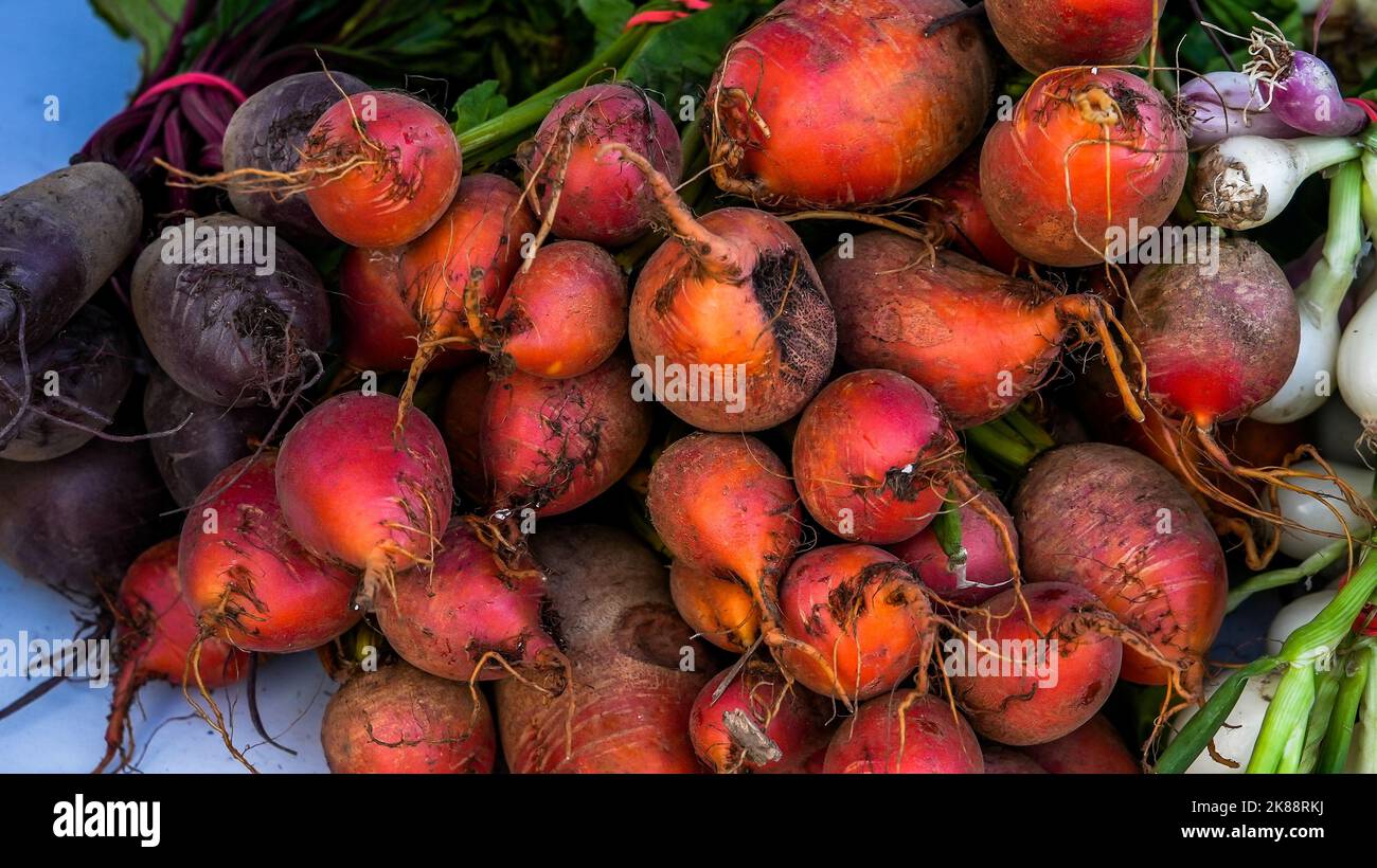 A top view of freshly harvest beets Stock Photo - Alamy