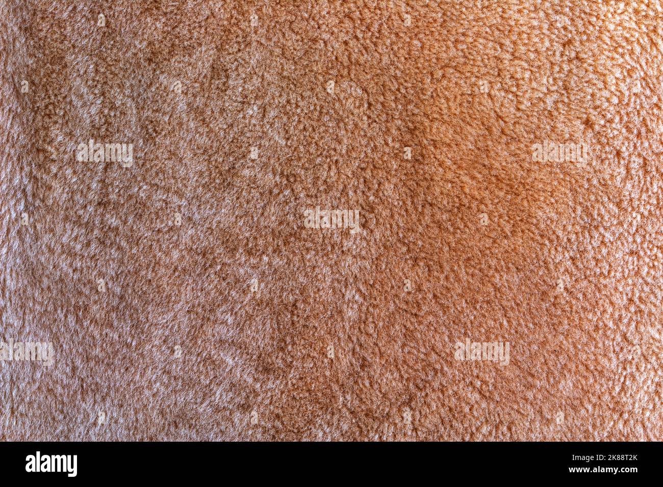 Beige brown carpet texture hi-res stock photography and images - Alamy