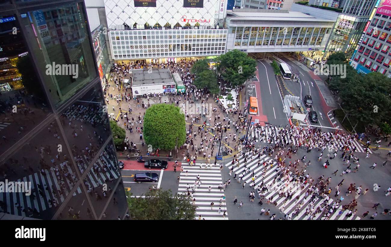A top view of the Shibuya crossing during a busy hour Stock Photo - Alamy