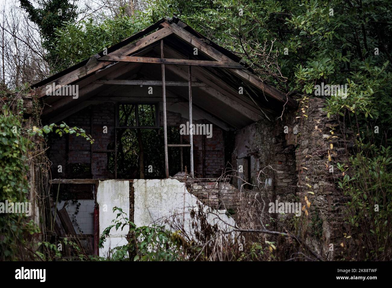An half-destroyed building surrounded by trees Stock Photo - Alamy
