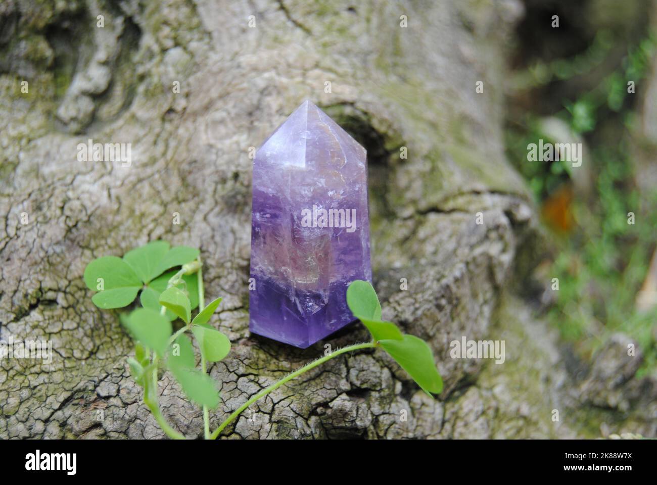 Amethyst crystal tree hi-res stock photography and images - Alamy