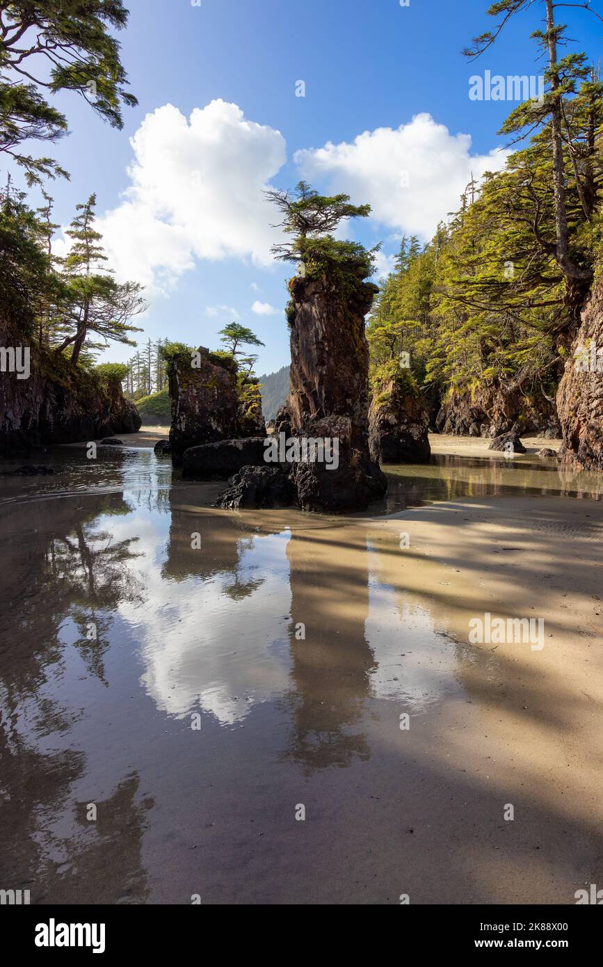 Sandy beach on Pacific Ocean Coast View. Sunny Blue Sky. San Josef Bay ...
