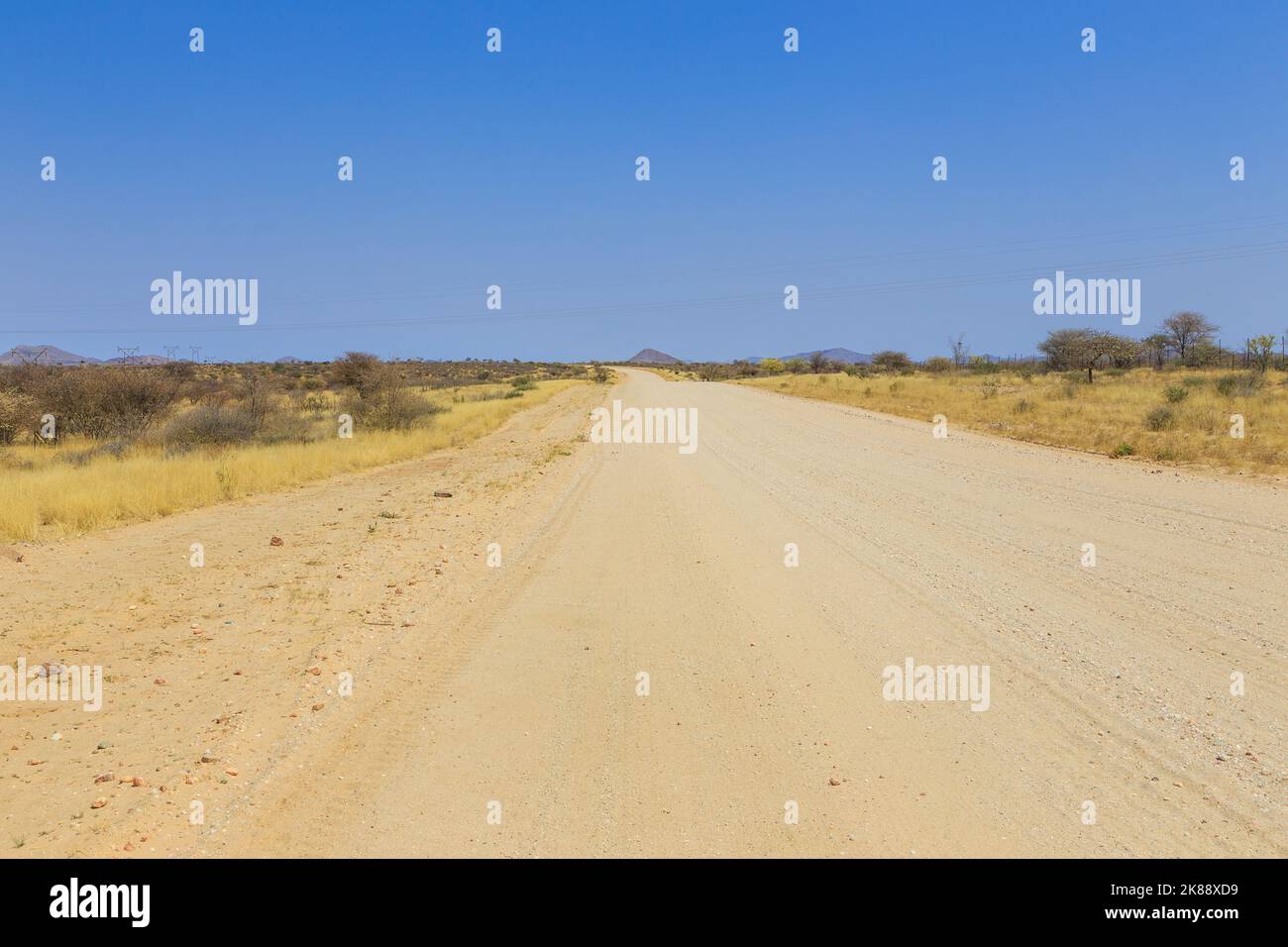 Namibian landscape along the gravel road. Yellow ground and African ...