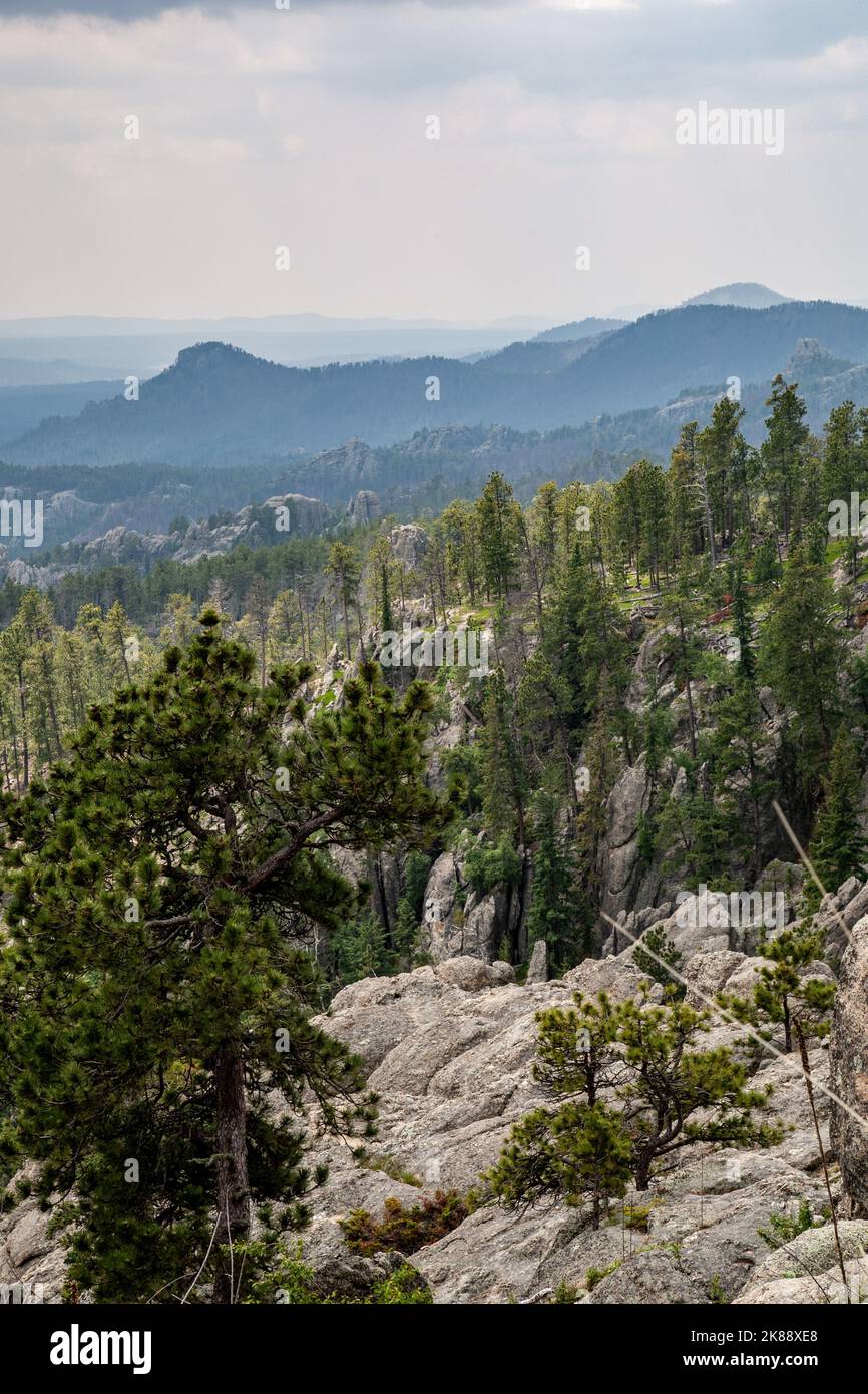 A vertical shot of trees and cliffs on Needles Highway in Custer State ...