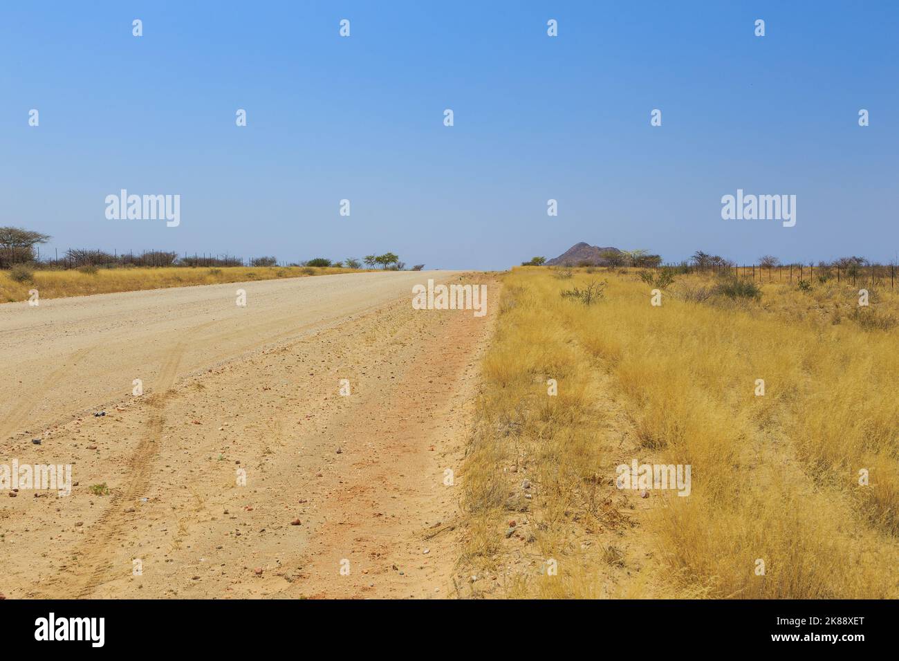 Namibian landscape along the gravel road. Yellow ground and African ...