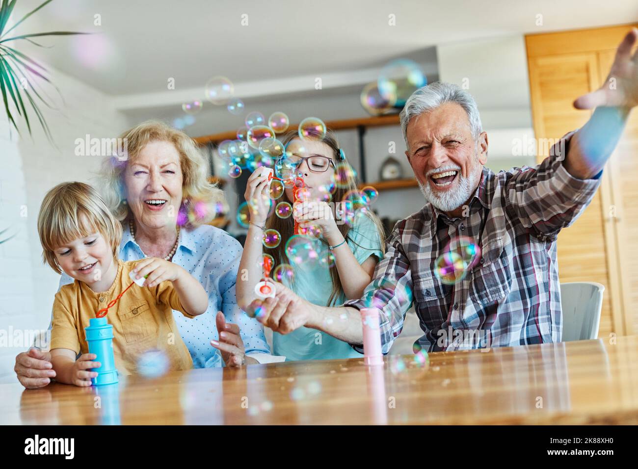 grandchild family child grandparent man woman grandfather happy ...