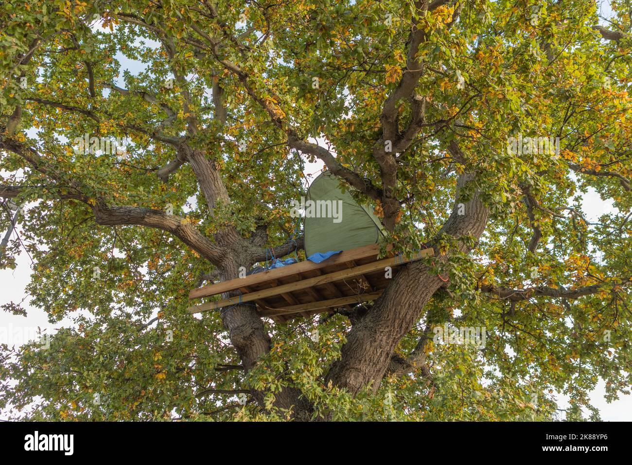 Ashingdon road hi-res stock photography and images - Alamy