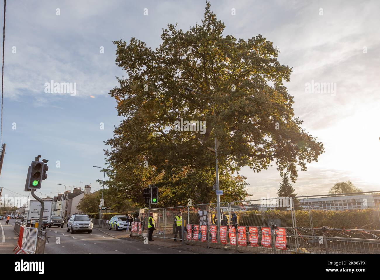 Rochford, UK. 21st Oct 2022. Activists from Save Holt Farm Oak Tree ...