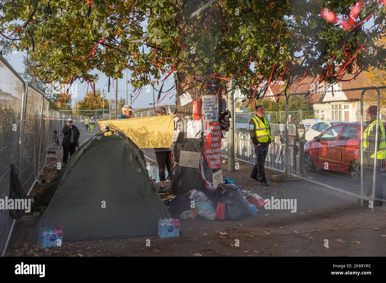 Rochford, UK. 21st Oct 2022. Activists from Save Holt Farm Oak Tree ...