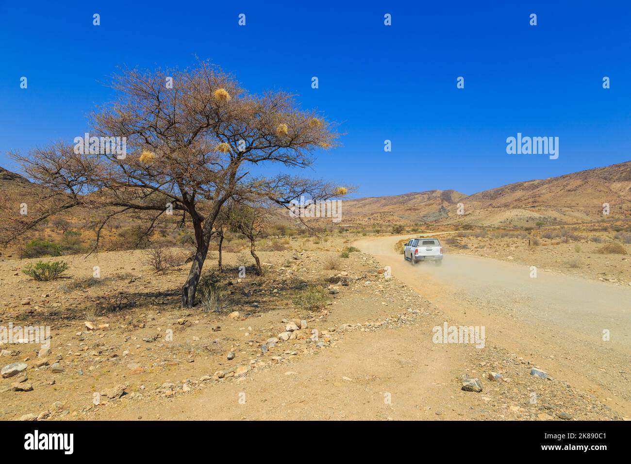 Through the namibian bush hi-res stock photography and images - Alamy