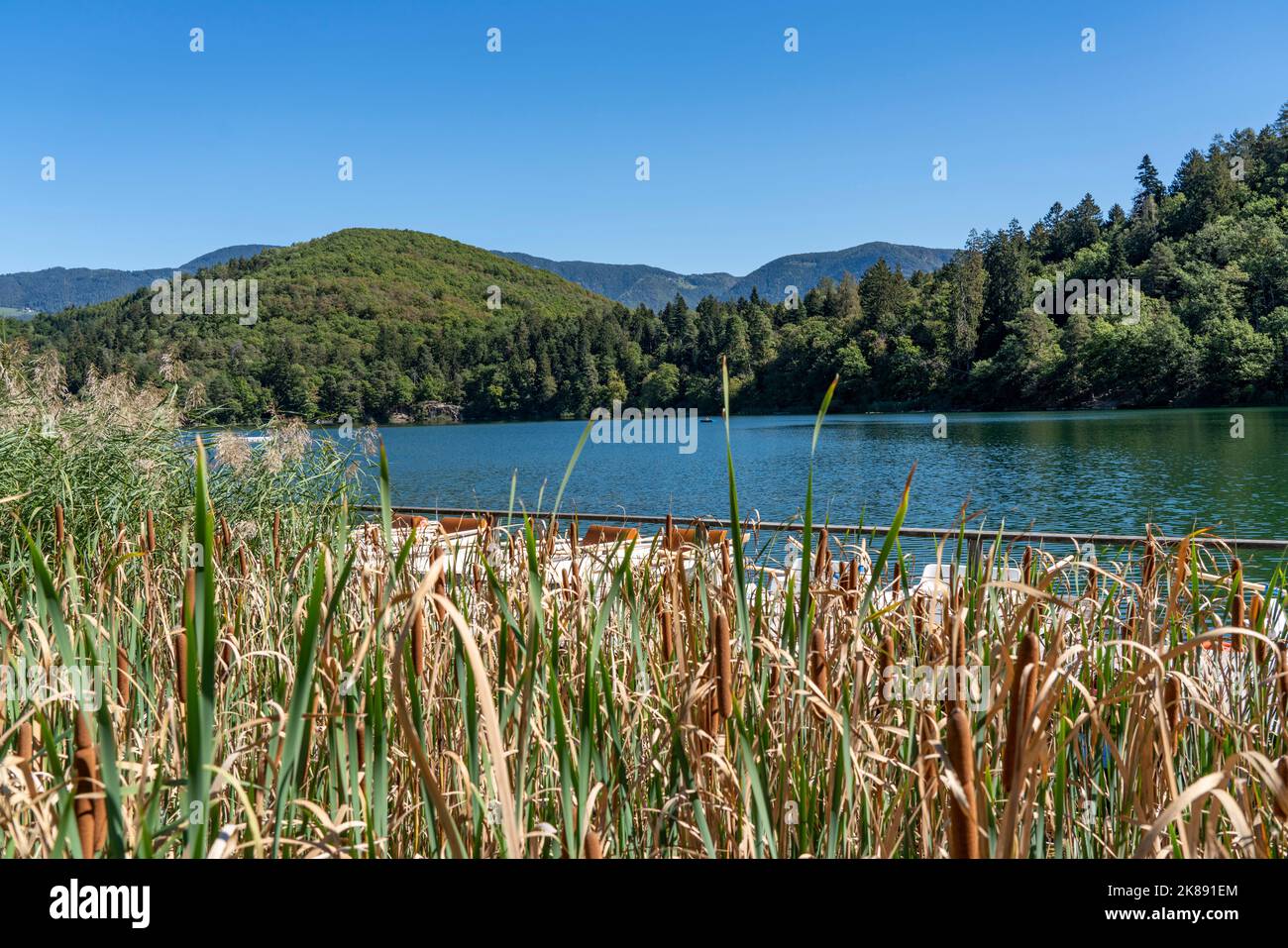 The Montiggler Lakes, on the South Tyrolean Wine Road, biotope and ...