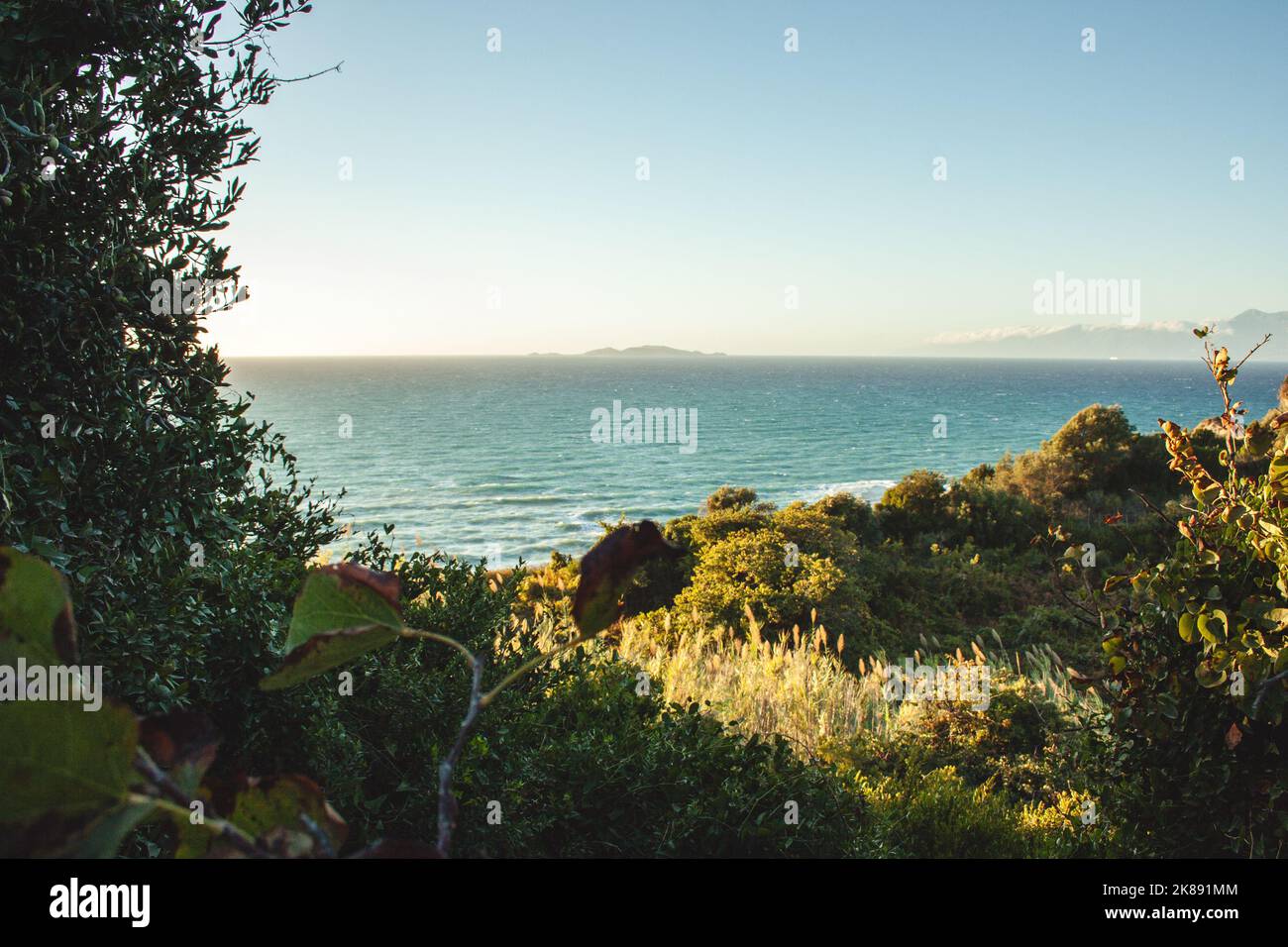 Bushes in the foreground hi-res stock photography and images - Alamy
