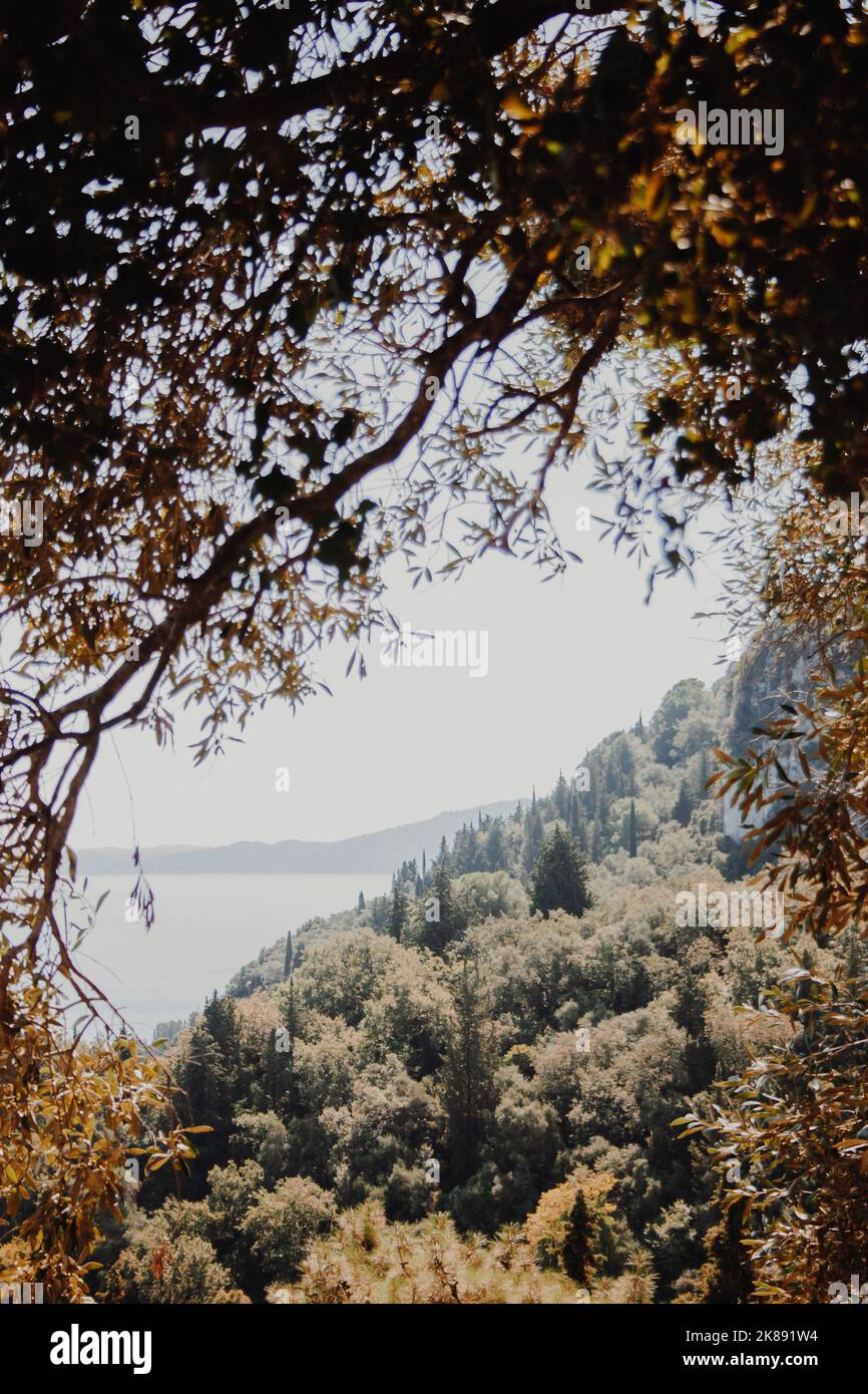 View of a forest of green trees by the water in Greece with a mountain ...