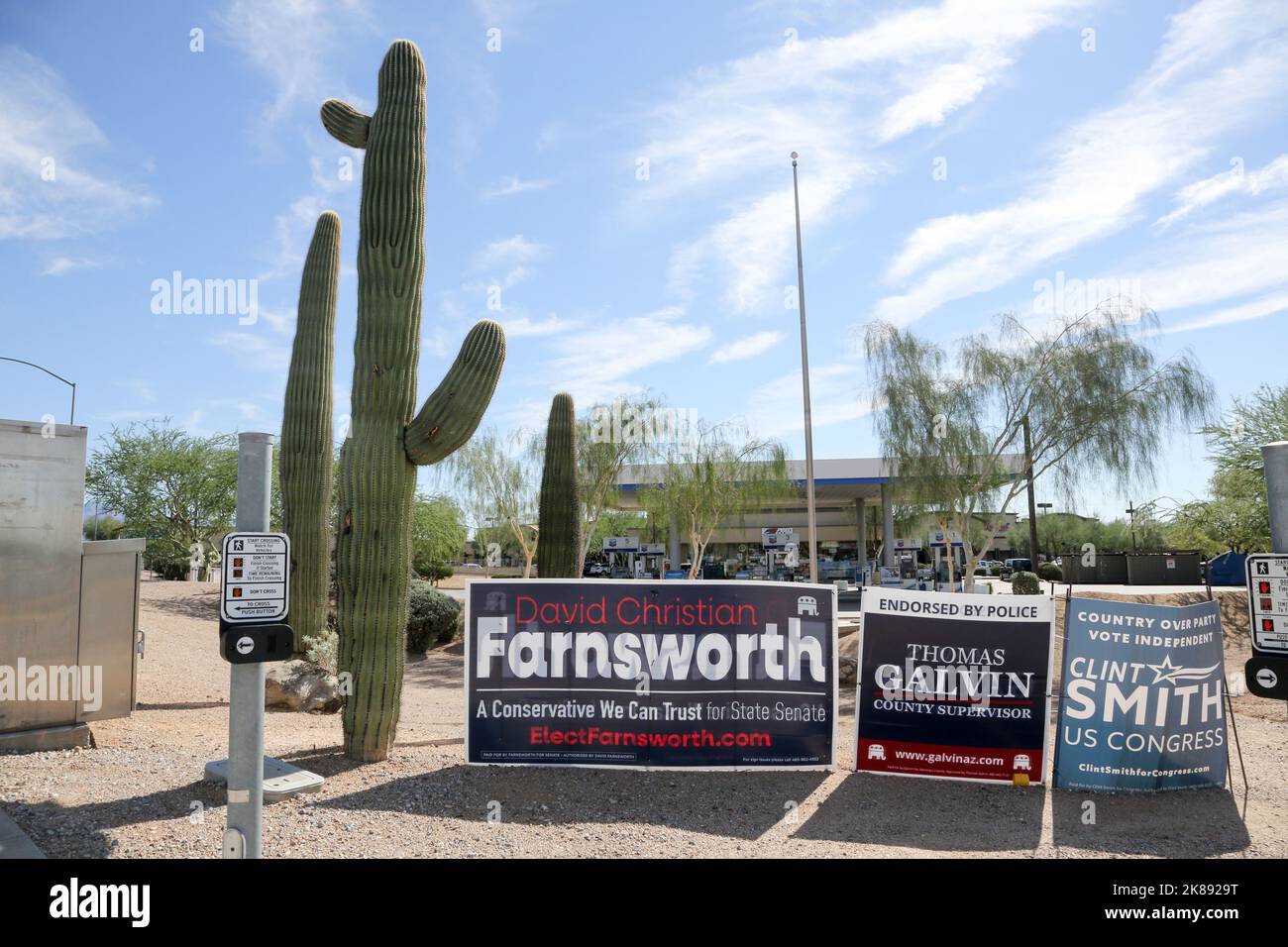 Political lawn signs for various candidates and races are on display at ...