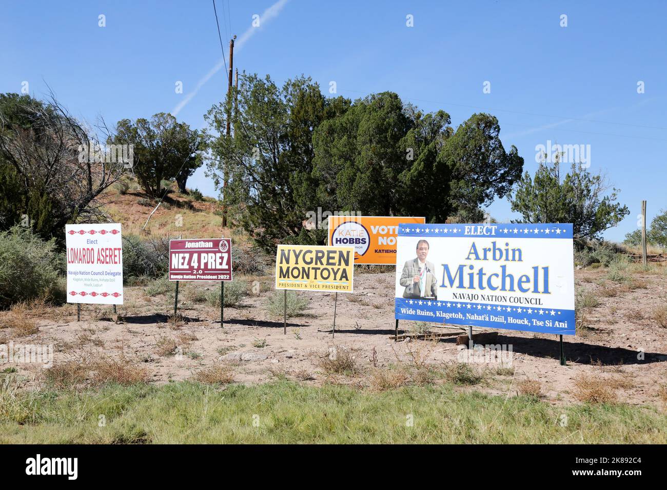 Political lawn signs for various candidates and races are on display in ...