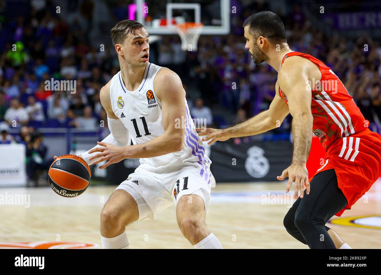 Mario Hezonja 2022