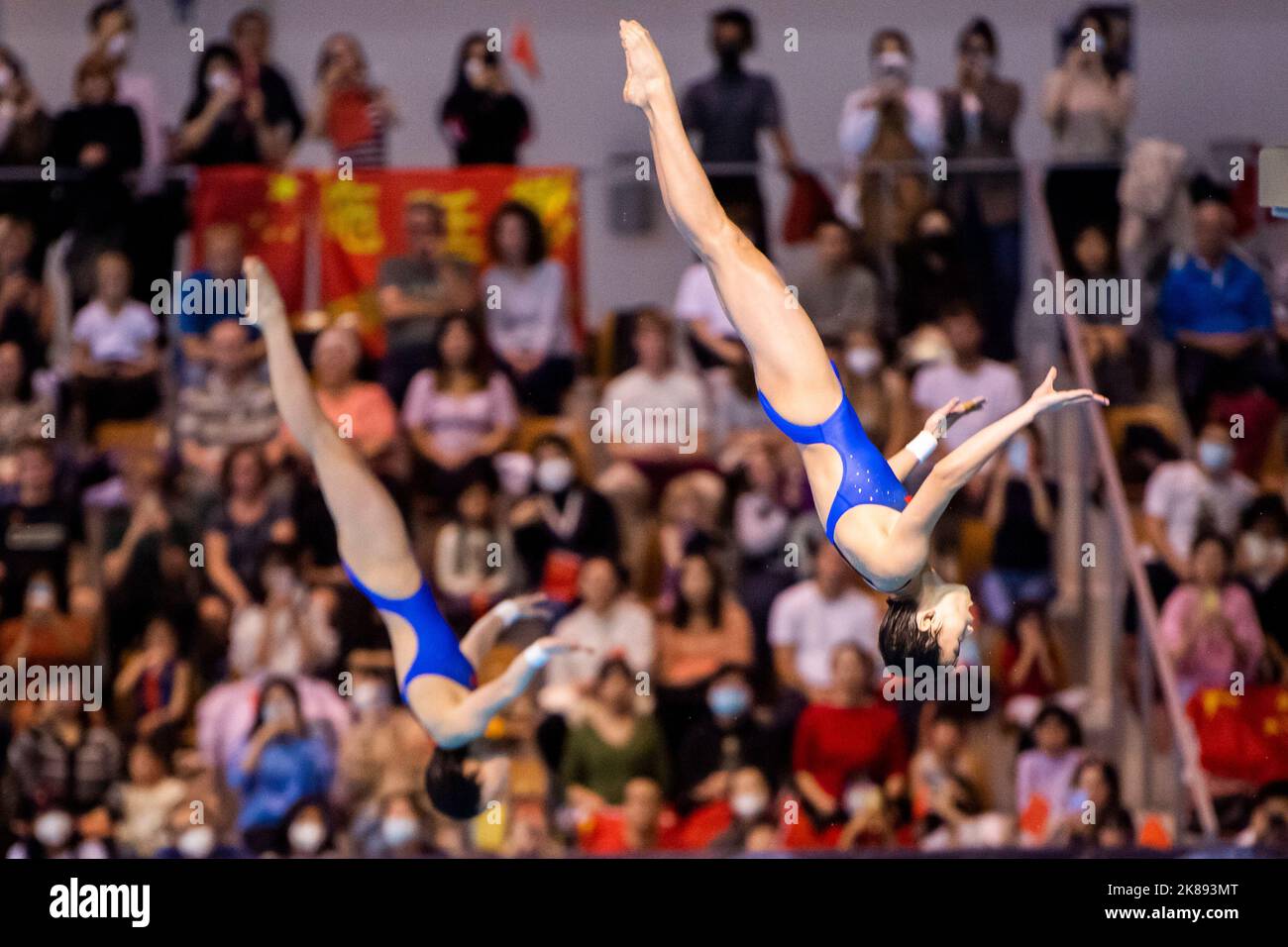 Berlin, Germany. 21st Oct, 2022. Water diving: World Cup, decisions ...